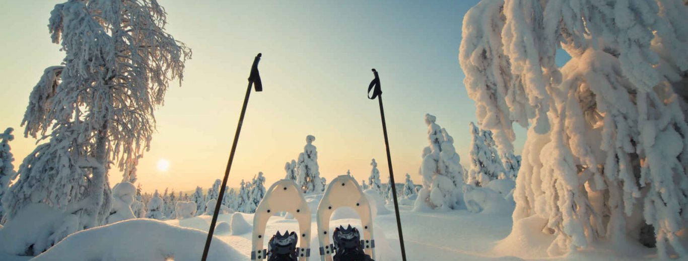 Voyage Finlande : circuits, autotours, séjours | Scanditours