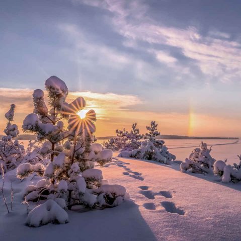 Voyage Finlande : circuits, autotours, séjours | Scanditours