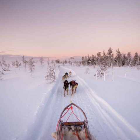 Voyage Finlande : circuits, autotours, séjours | Scanditours